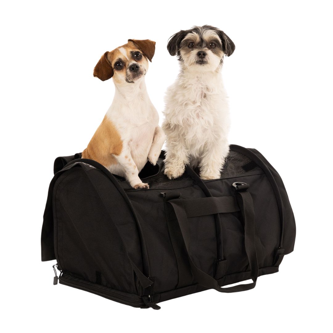 Travel Pet Carriers for Cats & Dogs | Airline Approved – Sturdi Products