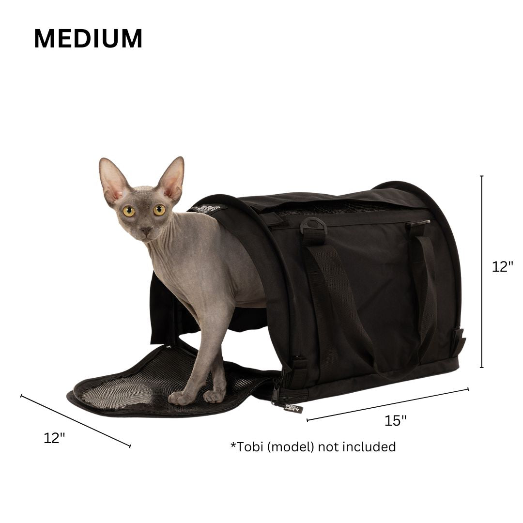 Sturdi Products for traveling pets and their people!