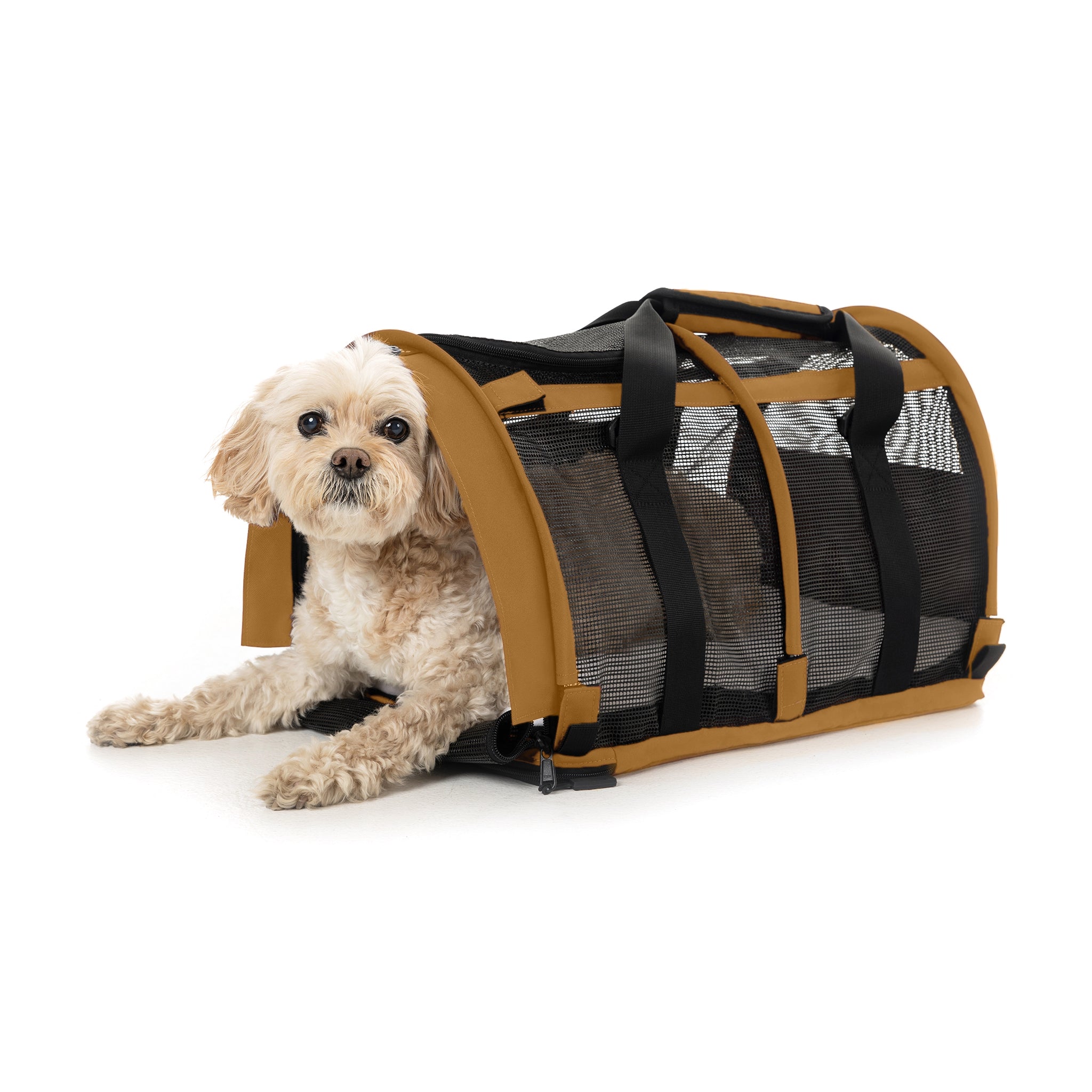 Sturdi Products | Trusted Pet Carriers for Travel