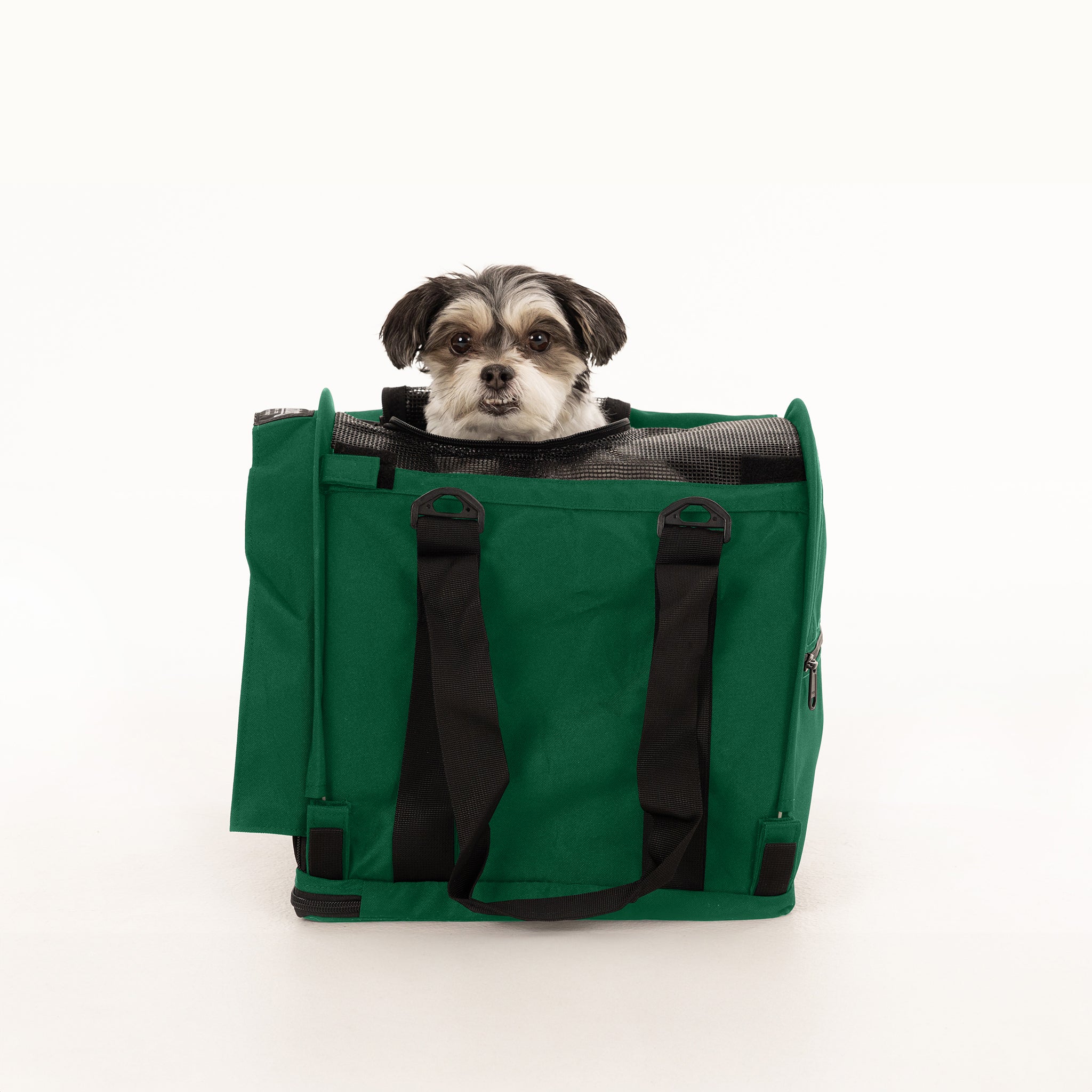 Sturdi Products for traveling pets and their people!