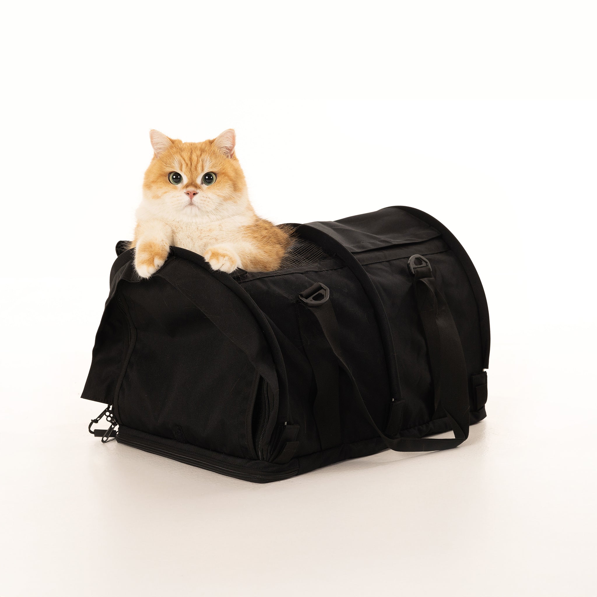 Sturdi Products for traveling pets and their people!