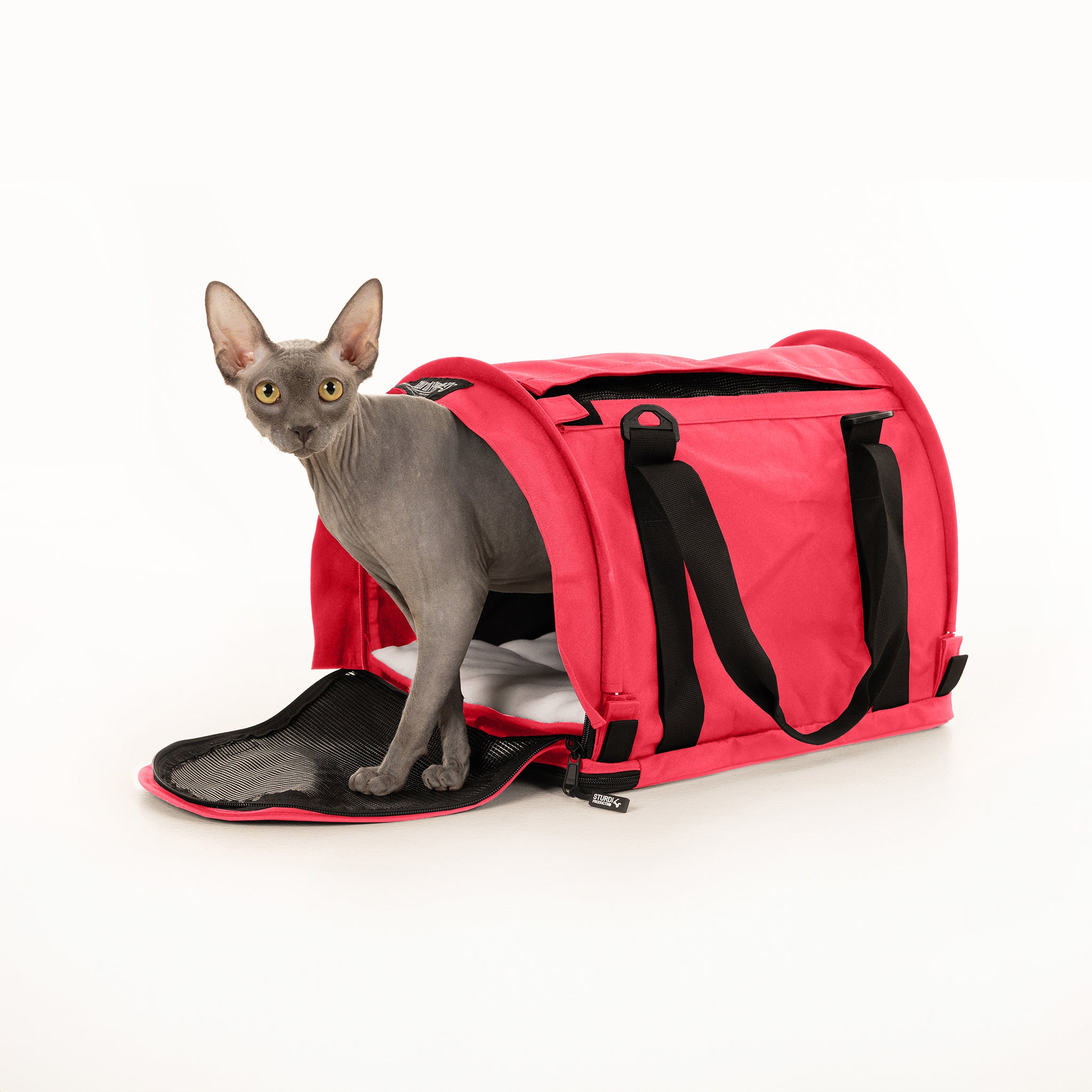Sturdi Products for traveling pets and their people!